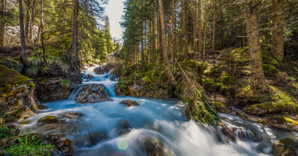 Types of Water and Their Health Benefits | Thrive
